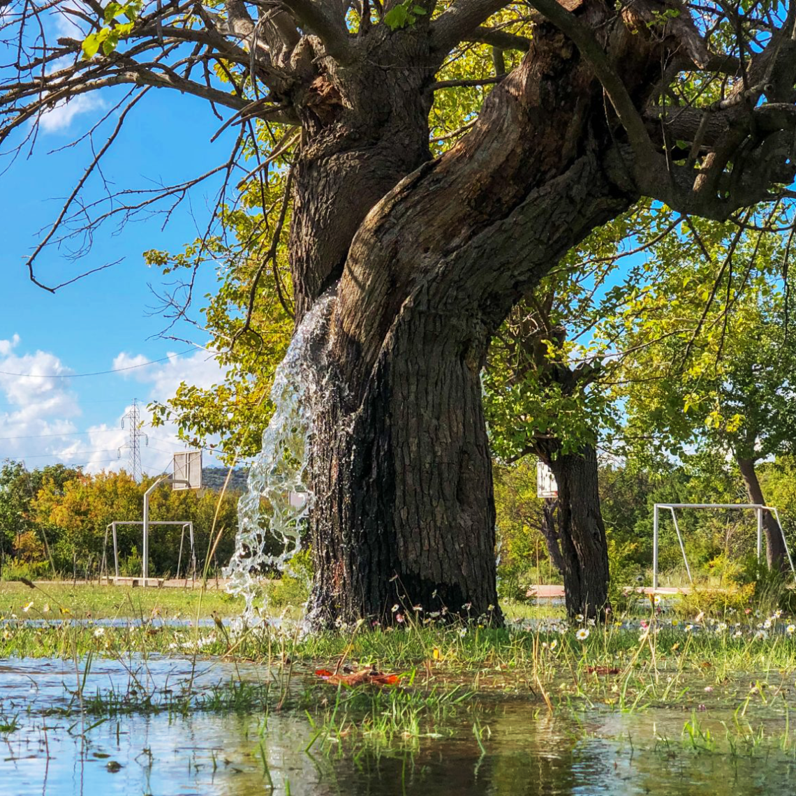 Prof. Dr. David Kalaj u zgjodh anëtar i jashtëm i Akademisë së ...